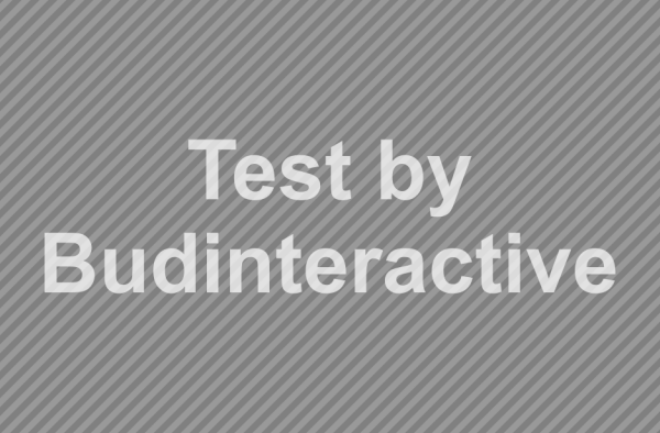 Test by BUD
