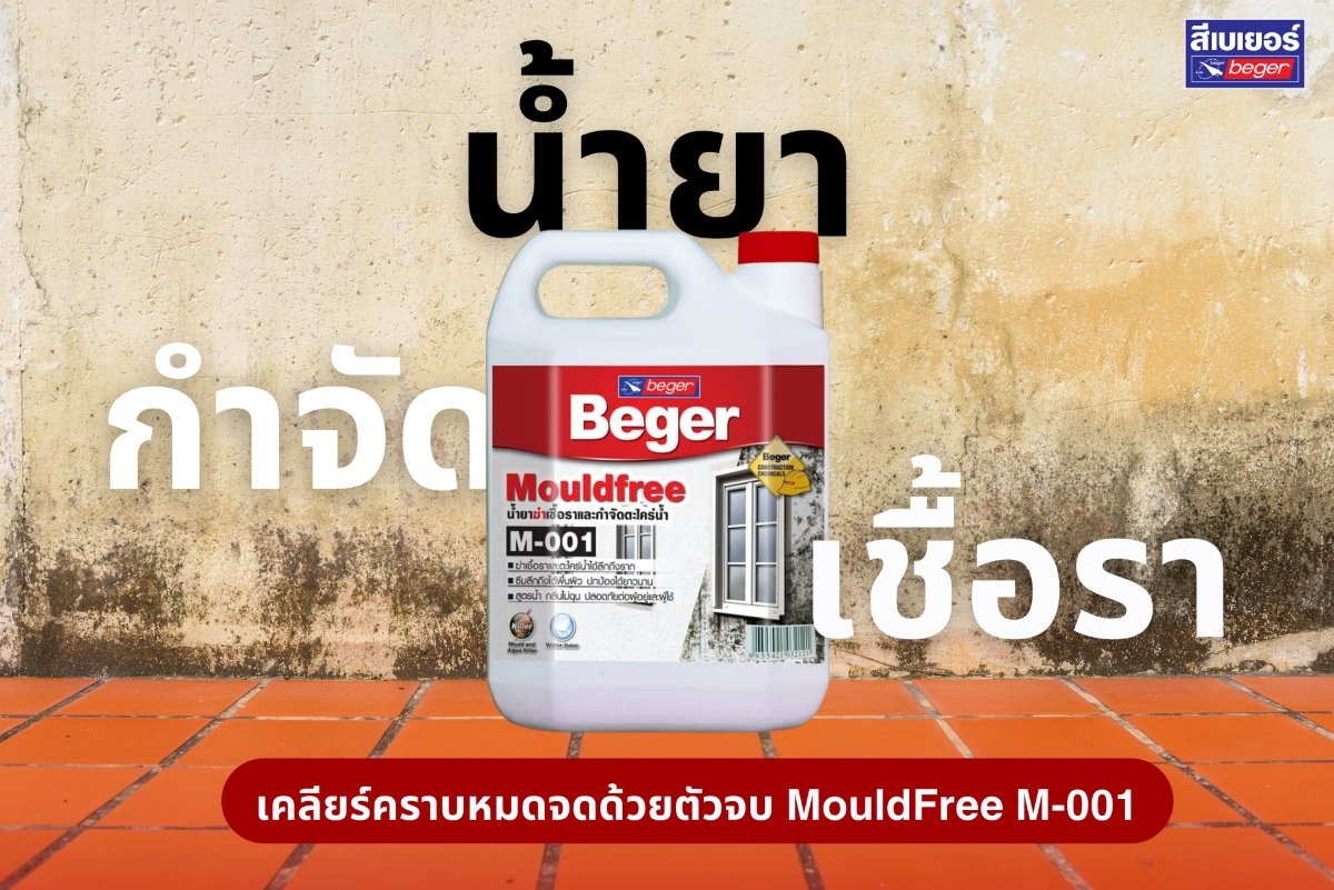 แก้ปัญหาเชื้อรา ตะไคร่น้ำฝังลึก ด้วยน้ำยากำจัดเชื้อรา Beger MouldFree M-001